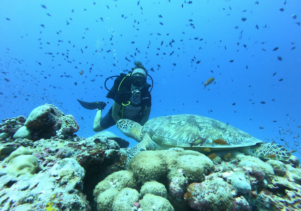 The Nautilus' Turtle Defender
